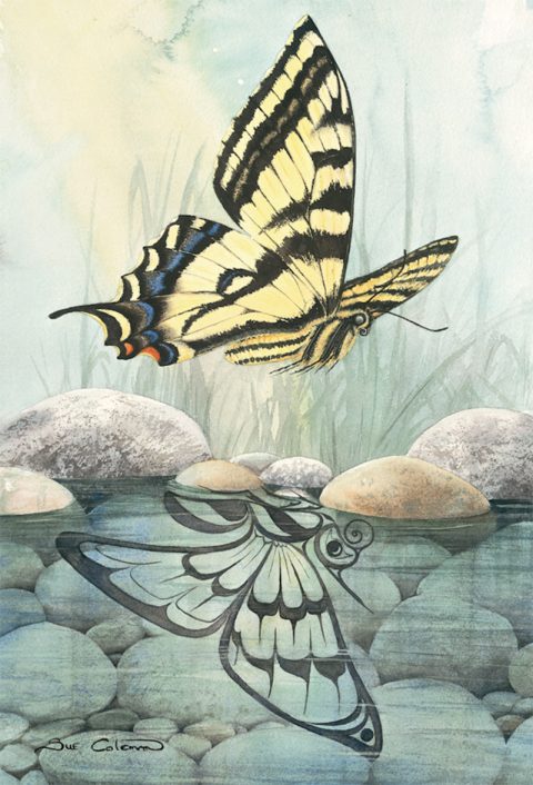 Art Print - Butterfly Reflection | Sue Coleman