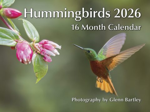 Hummingbirds 16 Month Calendar 2026 | Pacific Music And Art