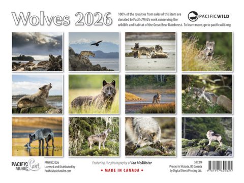 Wolves 16 Month Calendar 2026 | Ian McAllister